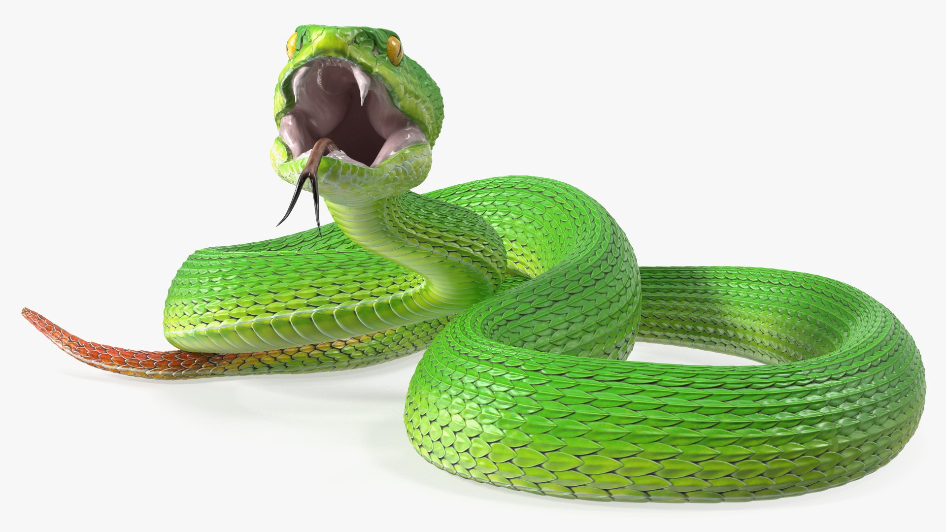 3D Attacking Green Snake Trimeresurus - TurboSquid 2105579