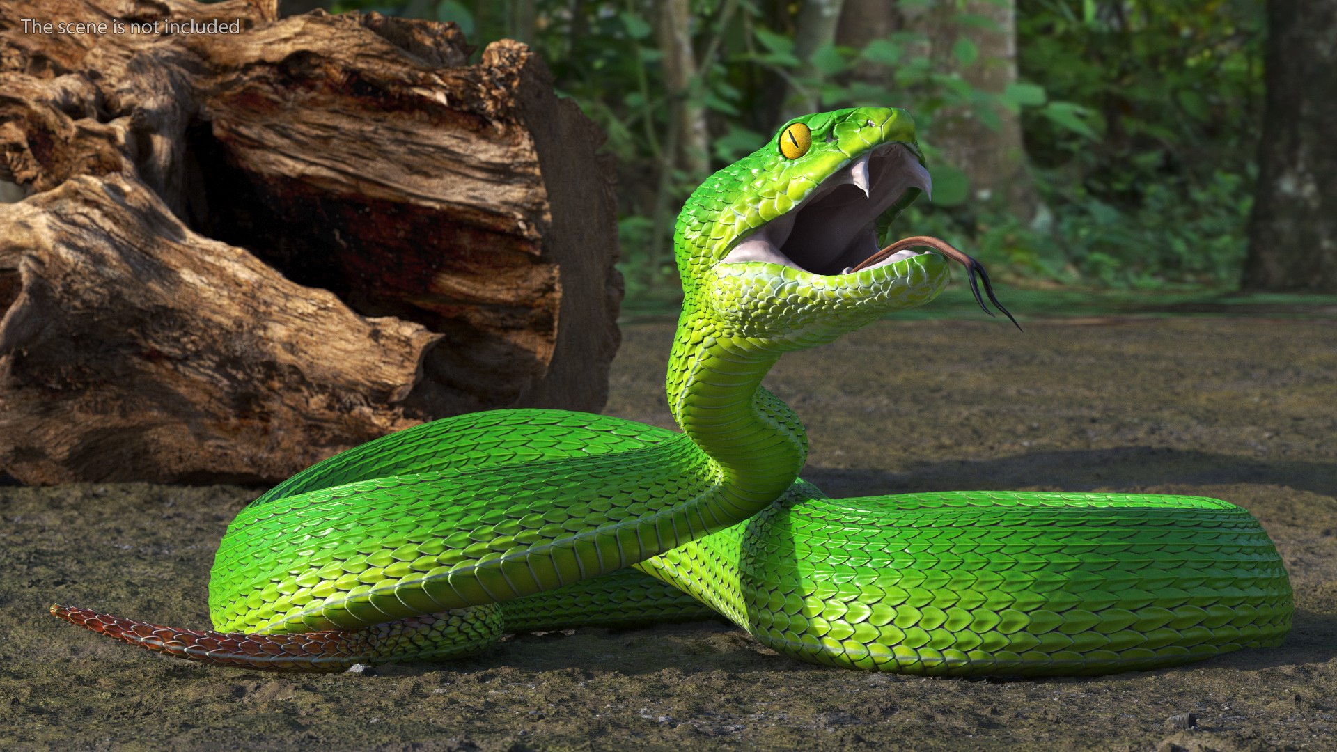 3D Attacking Green Snake Trimeresurus - TurboSquid 2105579