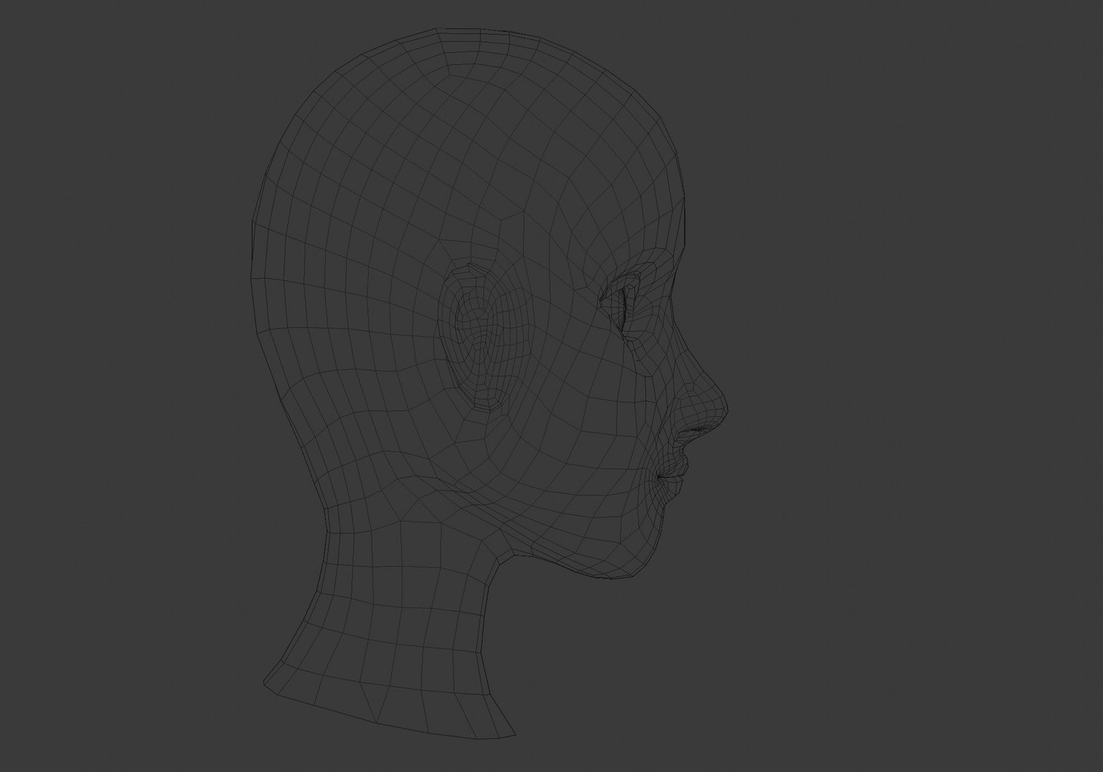 Basic Female Head Model - TurboSquid 1932534
