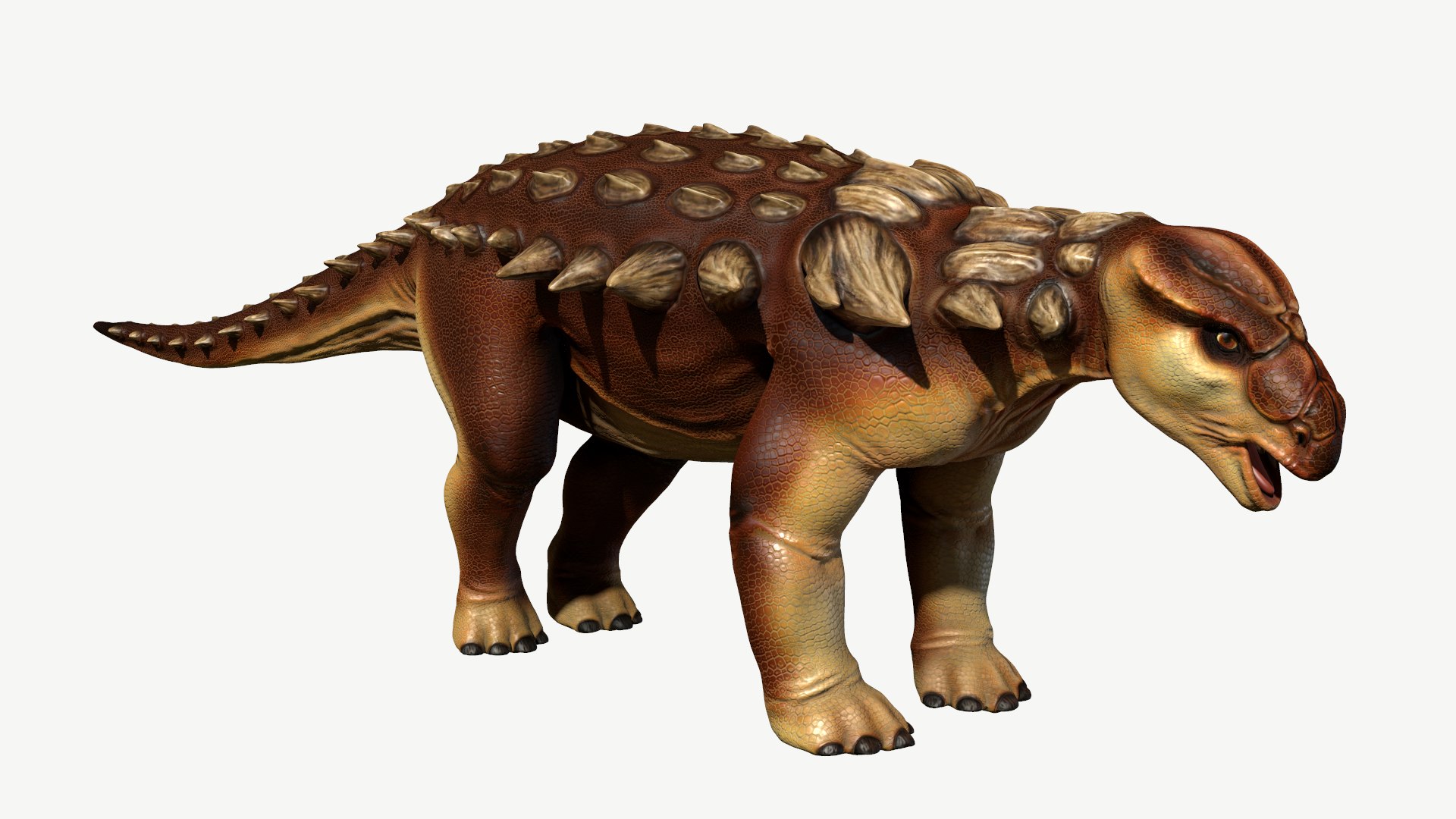 Edmontonia Vs Ankylosaurus
