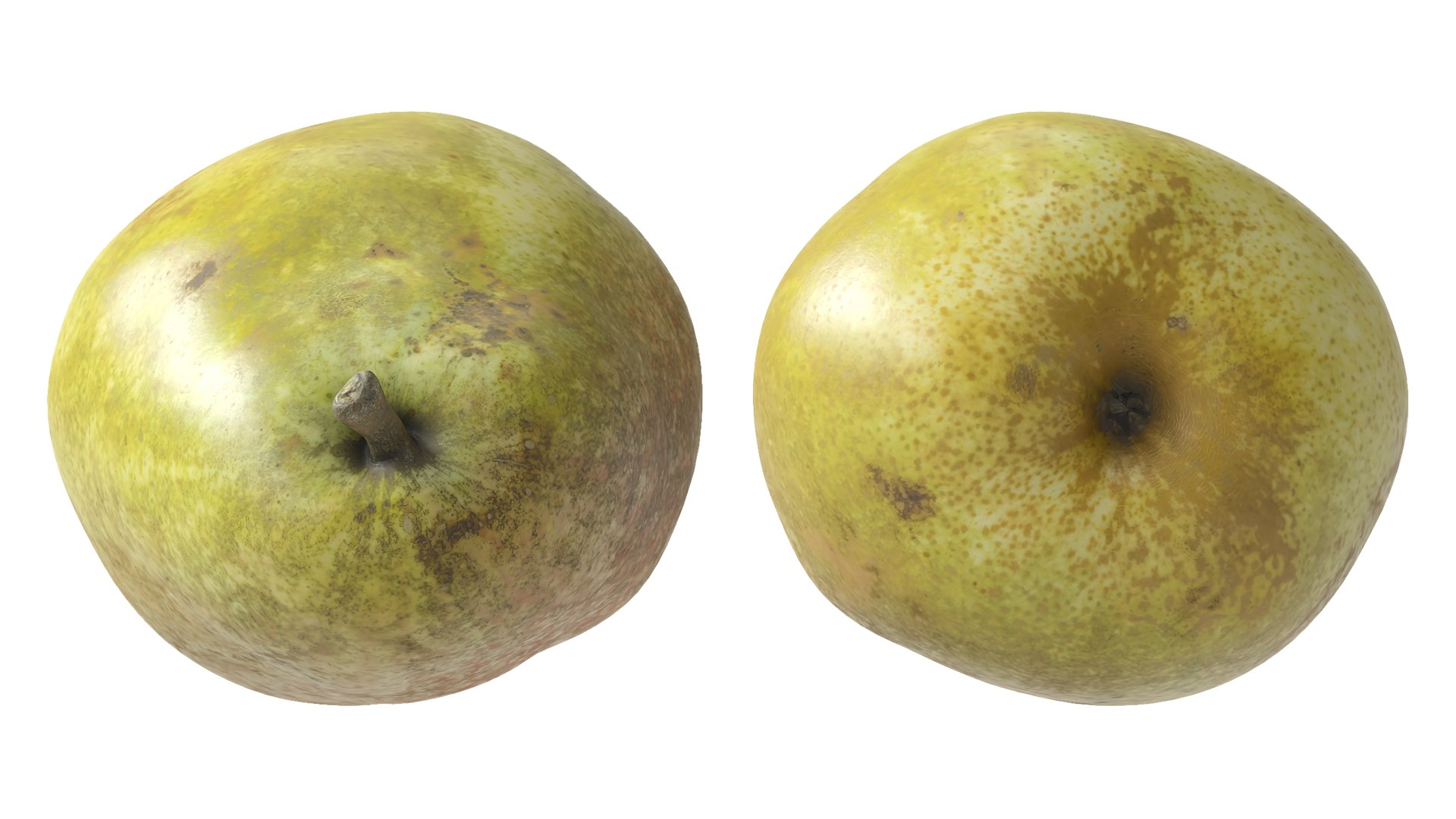 Kieffer Pear 3D - TurboSquid 1960577