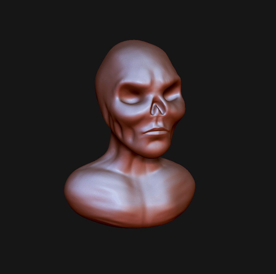 3d Zbrush File