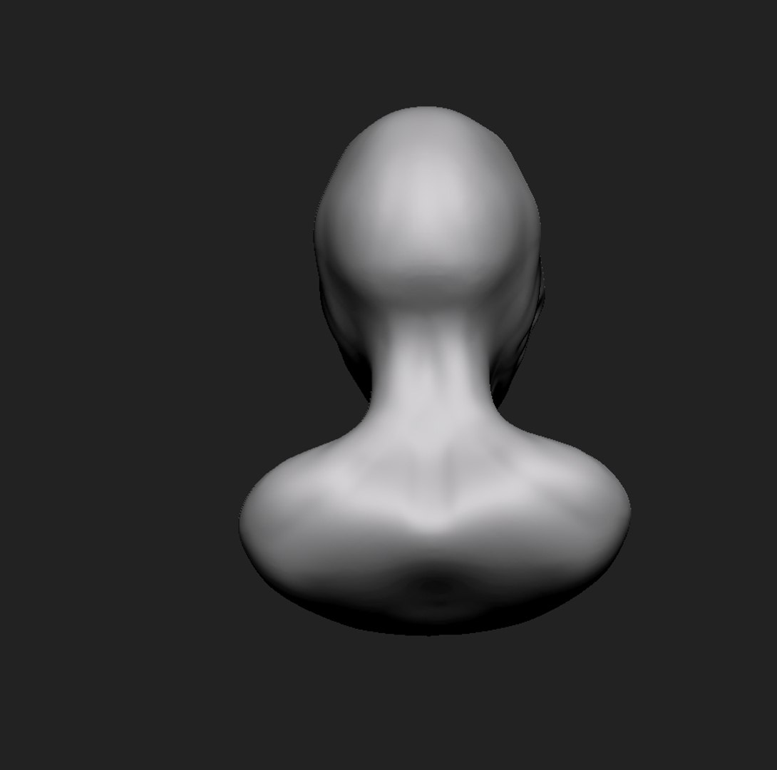 3d Zbrush File