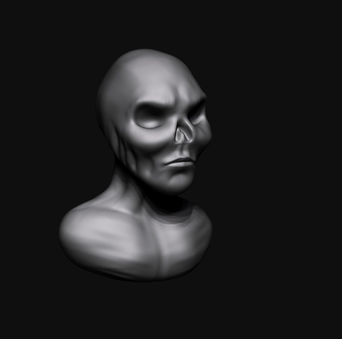 3d Zbrush File