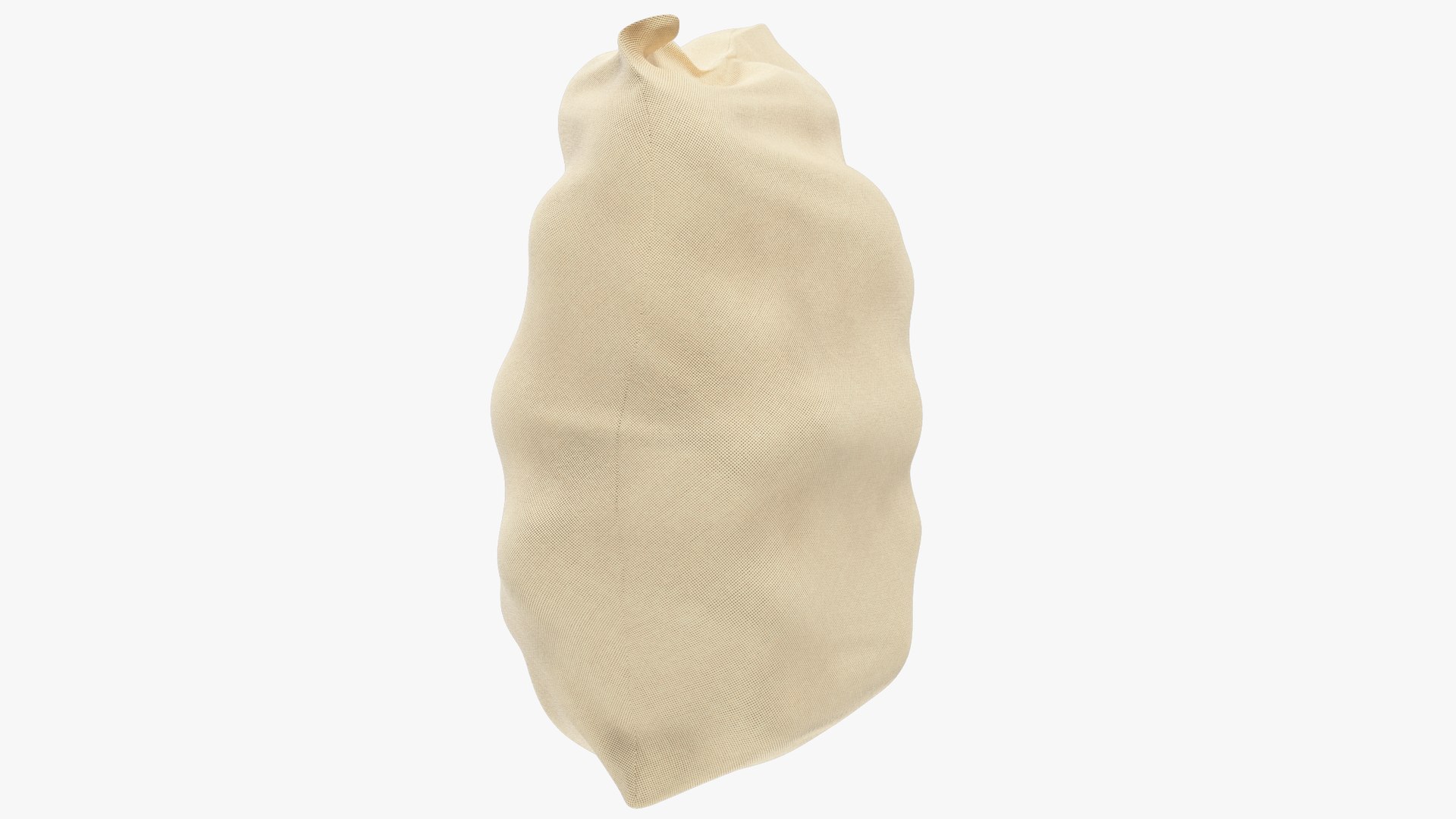 Sack V4 Model - TurboSquid 2153355