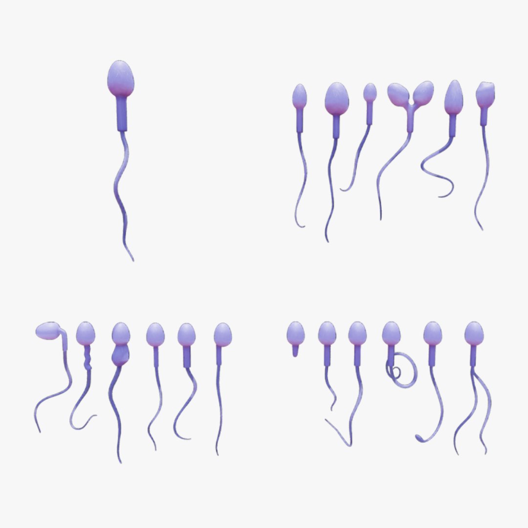 Sperm Morphology Normal and Abnormal 3D - TurboSquid 2132931