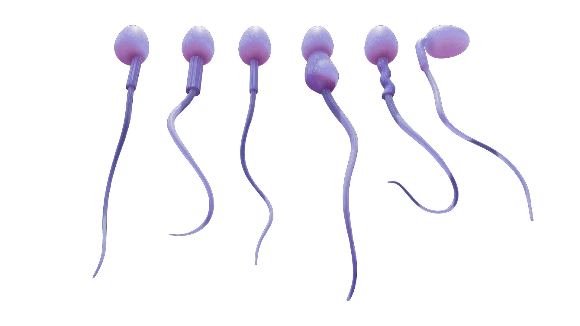 Sperm Morphology Normal and Abnormal 3D - TurboSquid 2132931