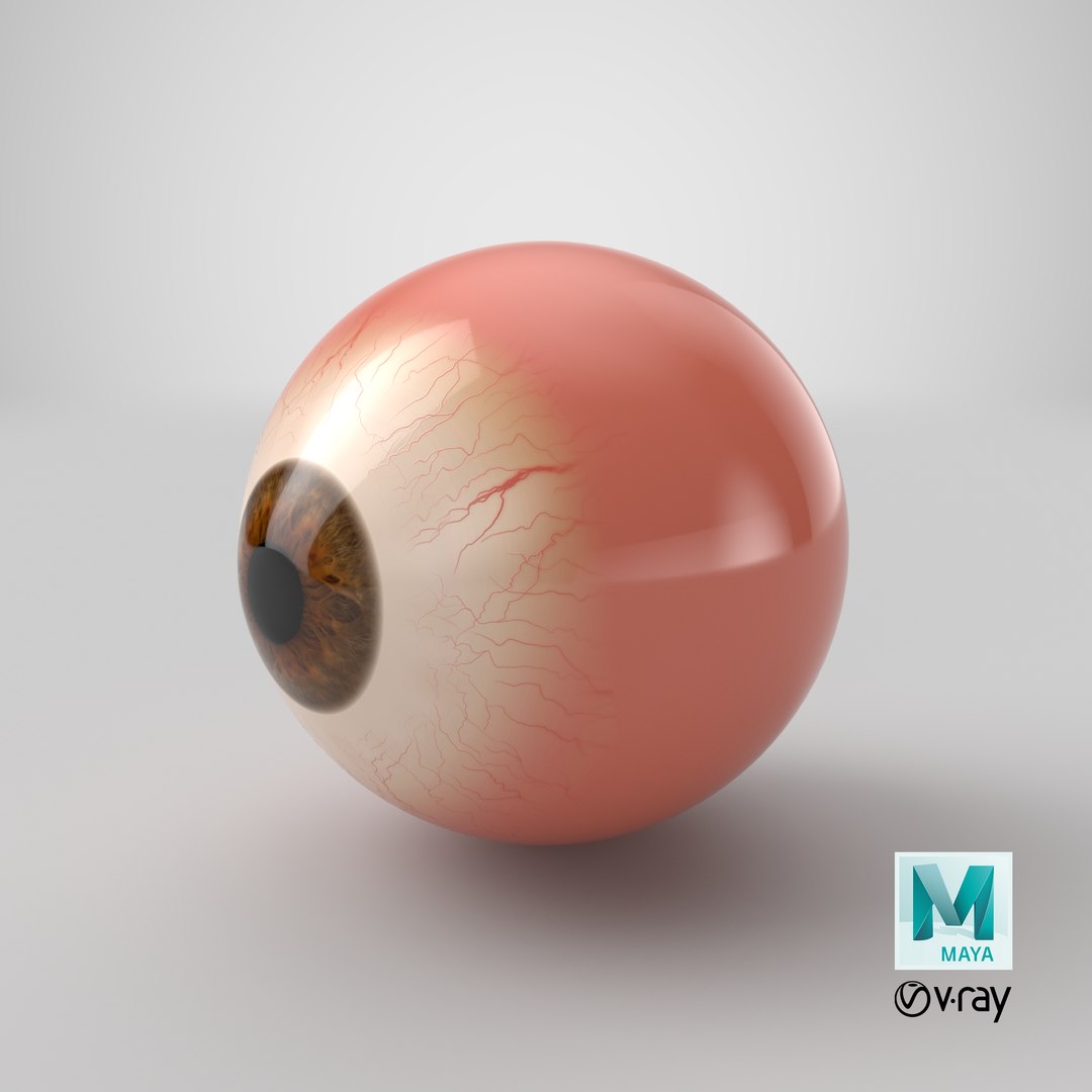 3D Eyeball Eye Model - TurboSquid 1303629