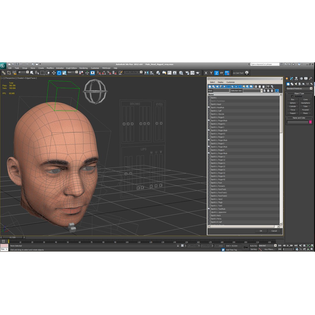 3d male head rigged model