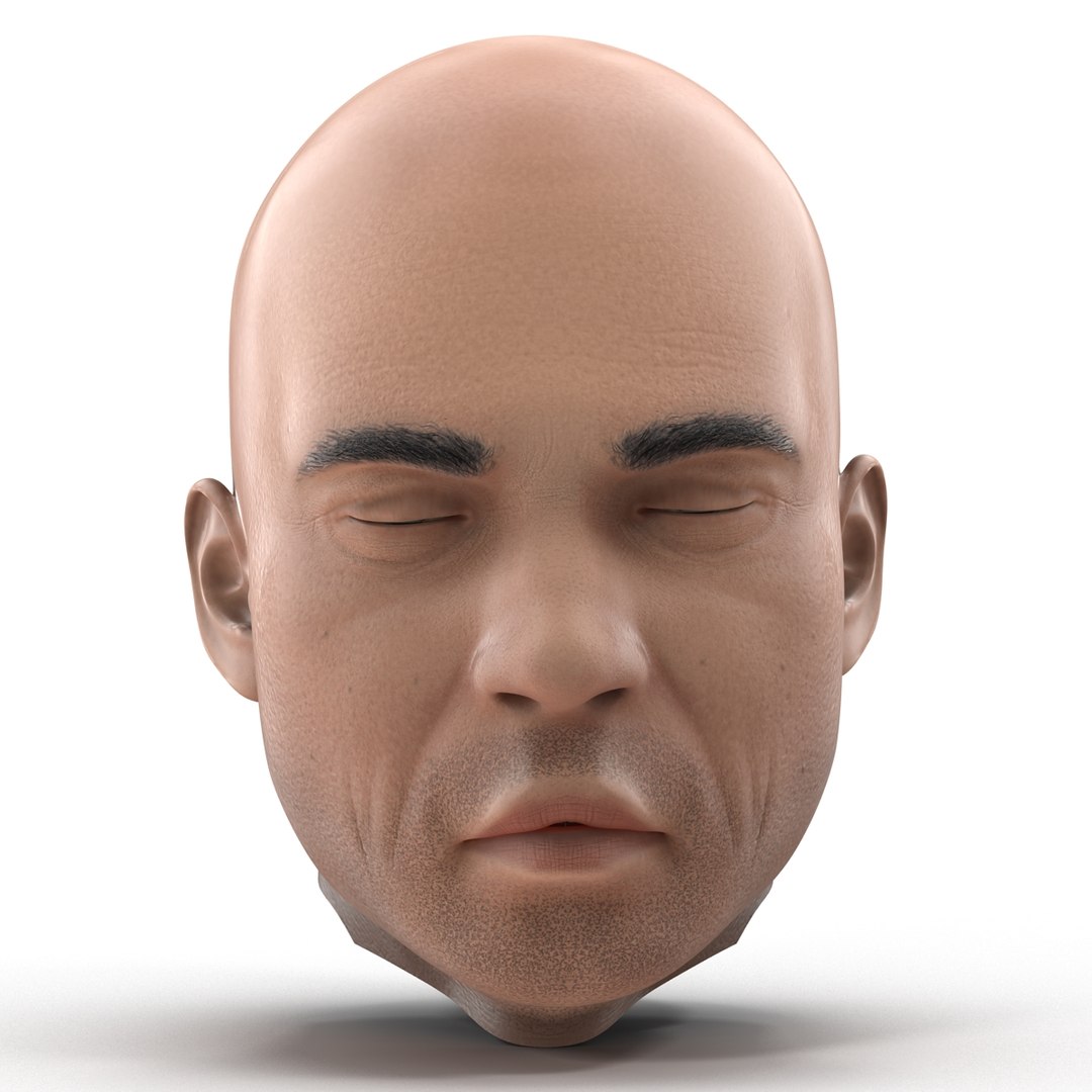 3d Male Head Rigged Model