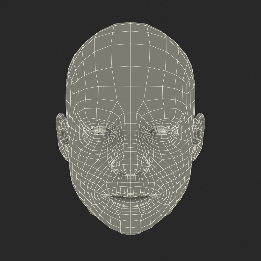 3d Male Head Rigged Model