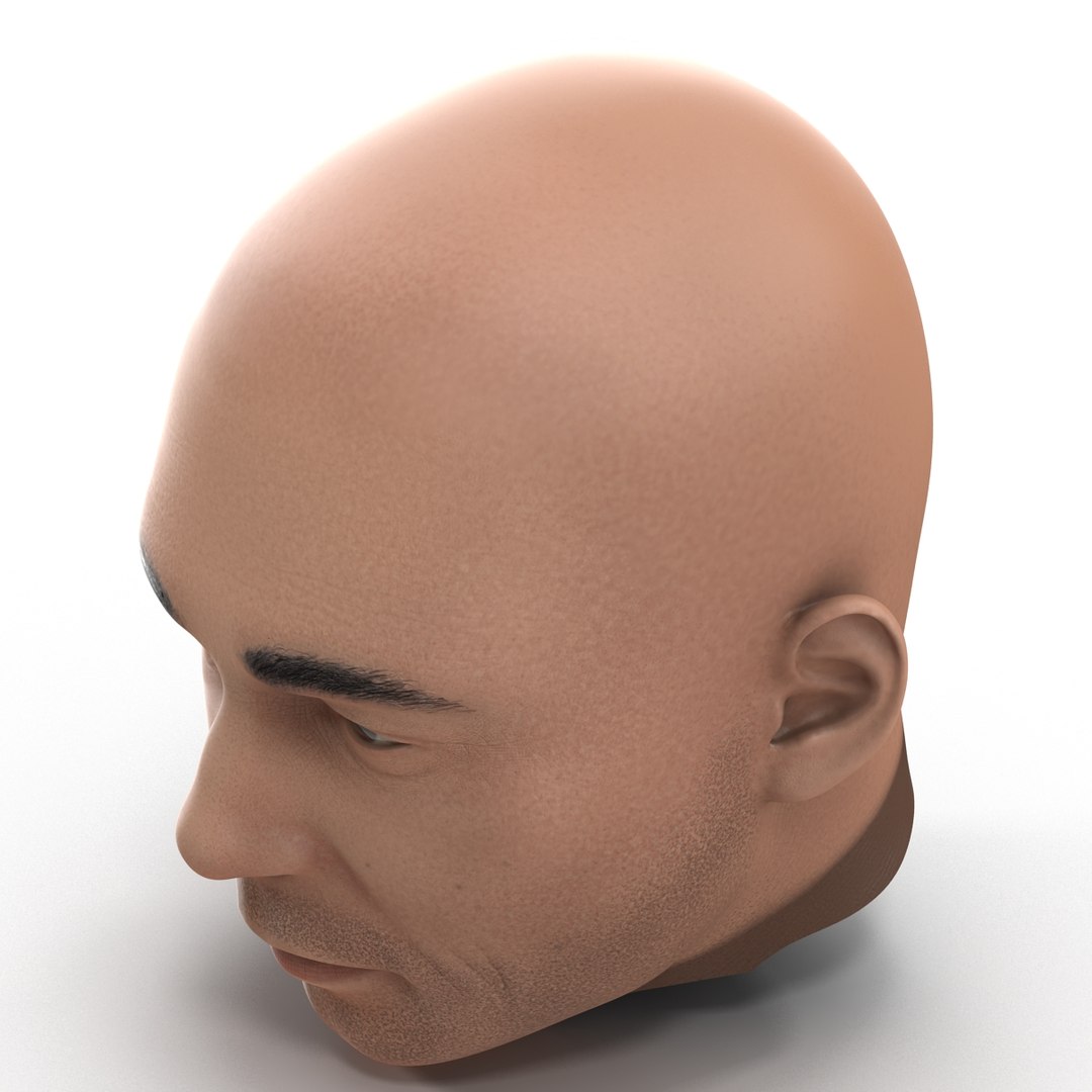 3d Male Head Rigged Model