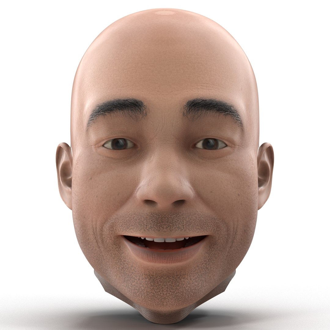 3d Male Head Rigged Model