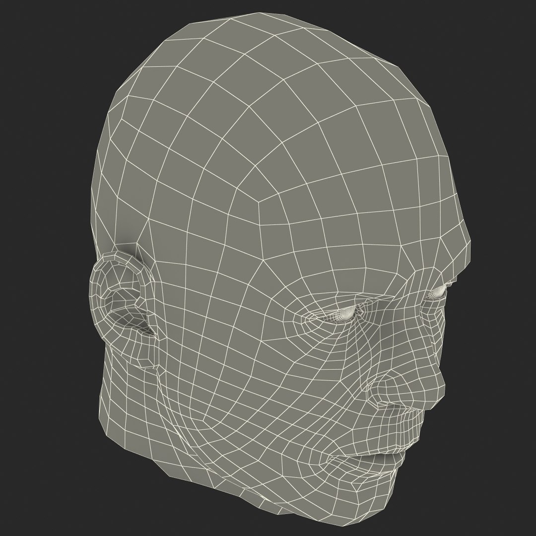3d male head rigged model