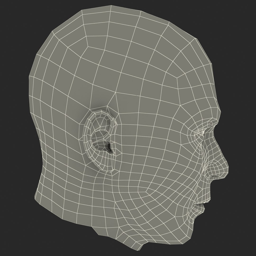 3d male head rigged model