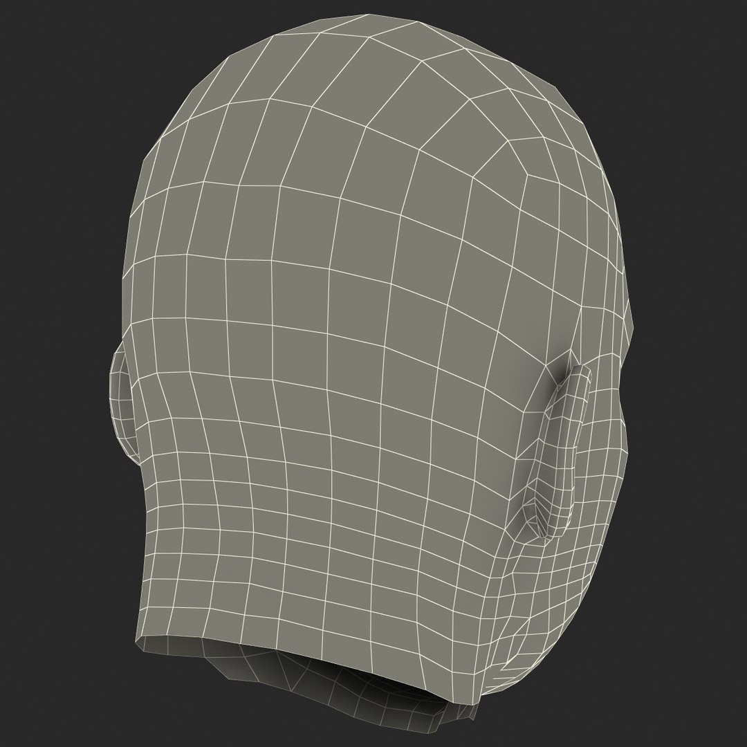 3d male head rigged model