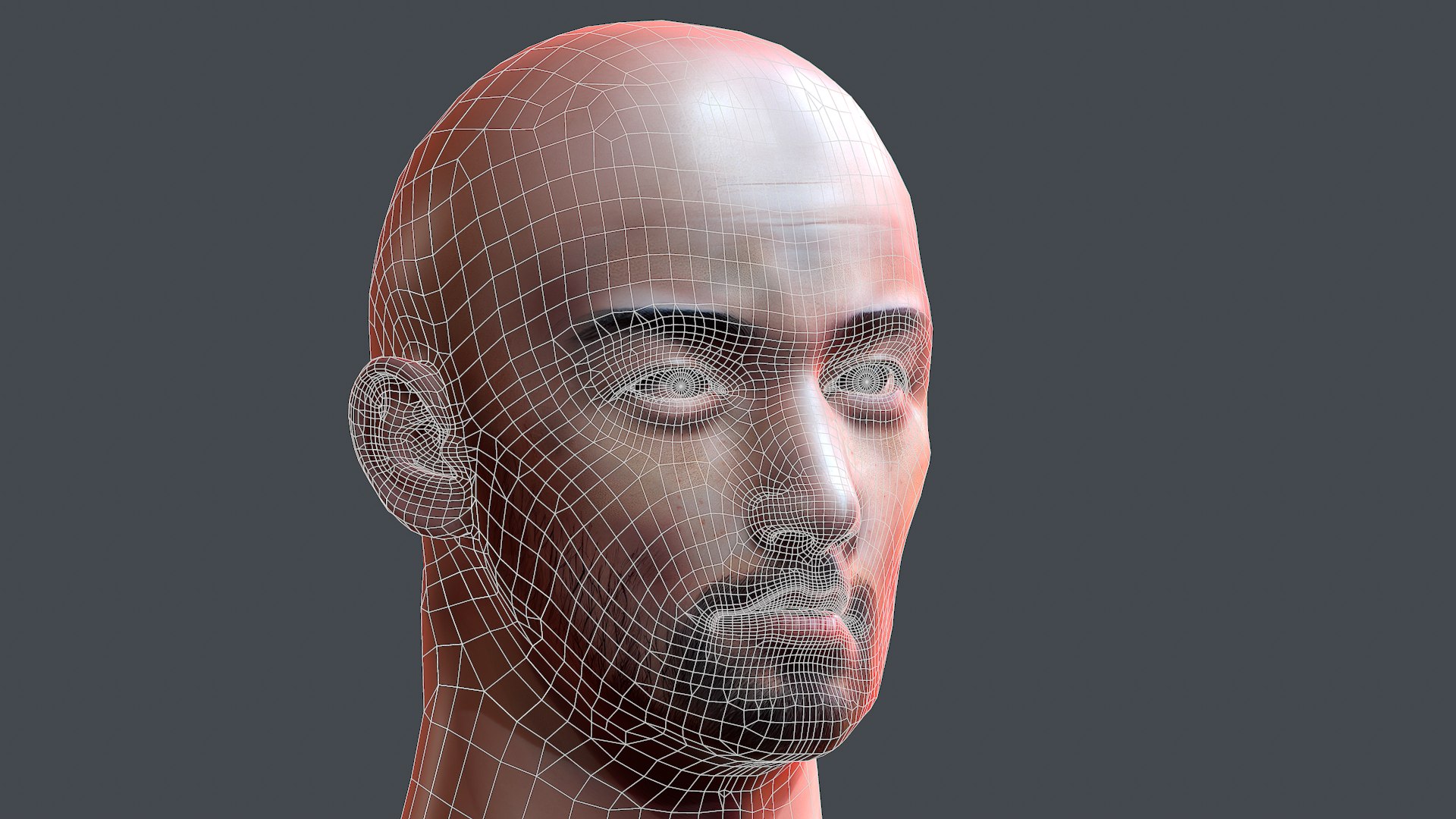 Male Head Realistic Perfect Head Low-poly 3D Model 3D Model ...