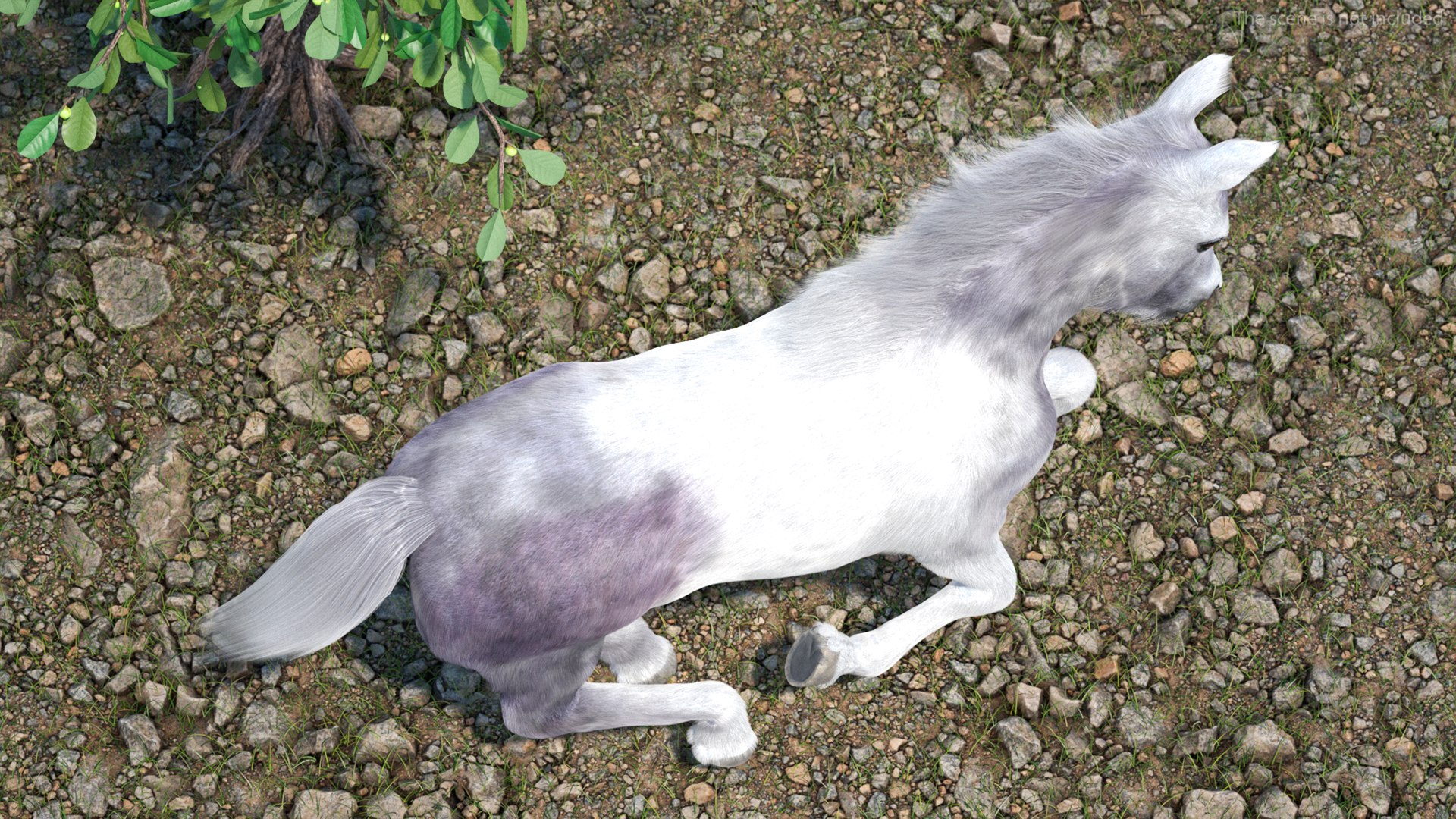 Running Shetland Pony White Fur 3D Model - TurboSquid 2234699