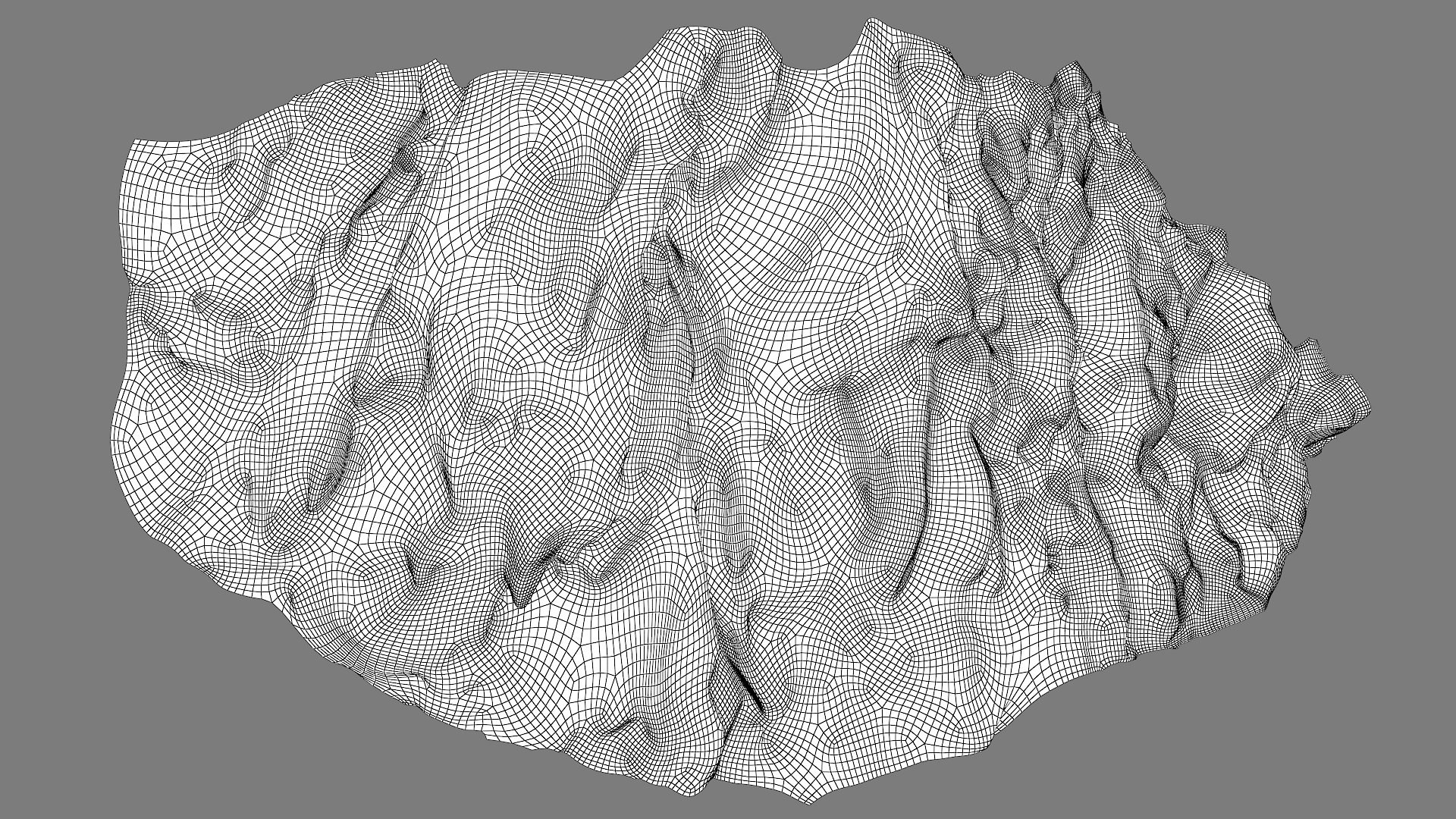 Cliff Wall 8 Scanned 3D Model - TurboSquid 2069756