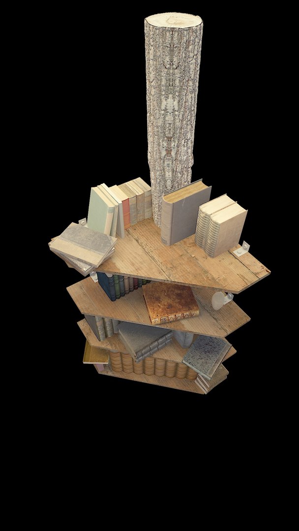 3D Bookshelf Wood Trunk With Books 2 - TurboSquid 1889549