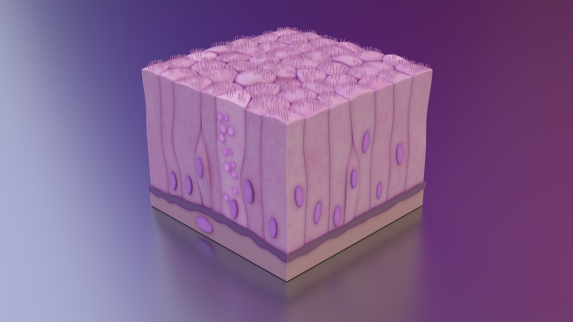 3D Model Ciliated Epithelium For 3D Print - TurboSquid 2344643