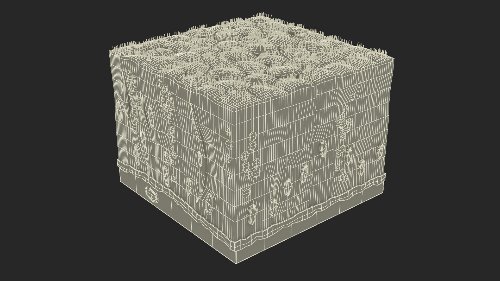 3D Model Ciliated Epithelium For 3D Print - TurboSquid 2344643