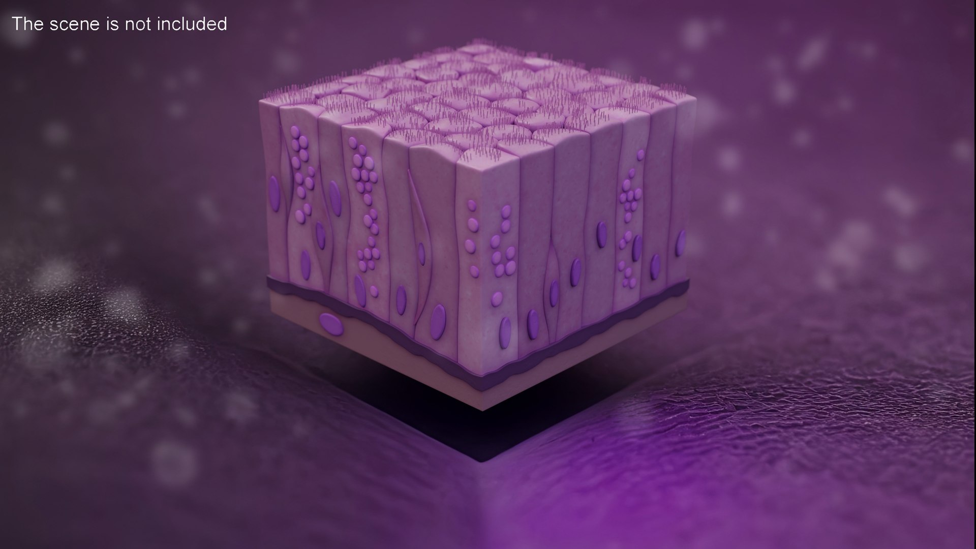 3D Model Ciliated Epithelium For 3D Print - TurboSquid 2344643