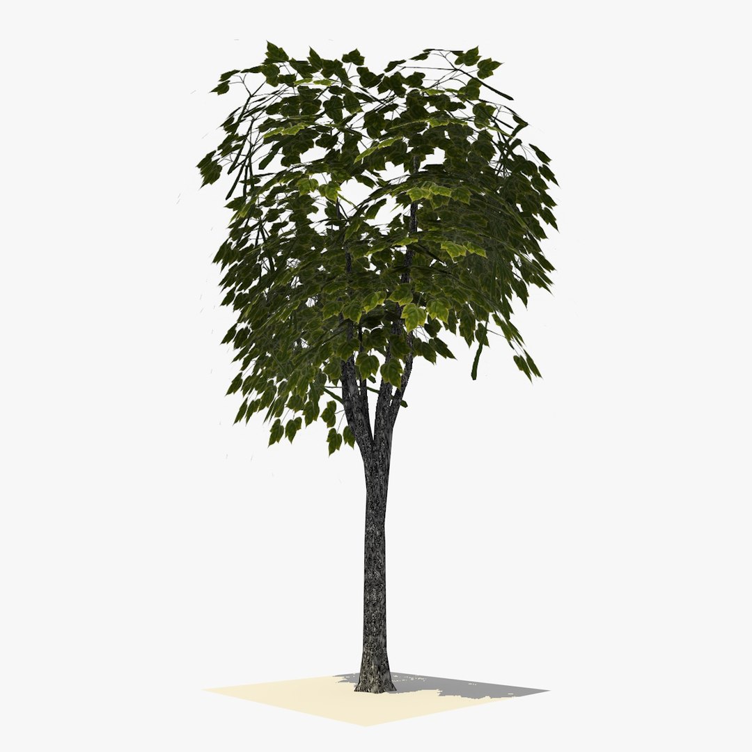 small trees 3d 3ds
