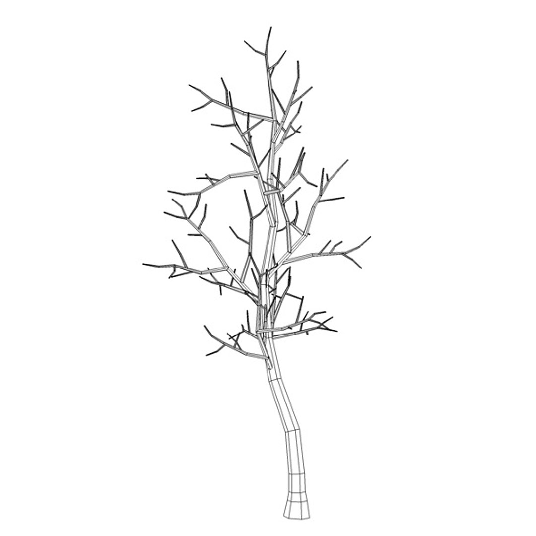 generic tree 3d obj
