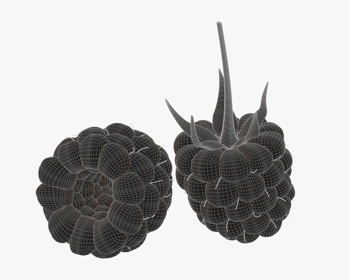 Raspberries model - TurboSquid 1389056