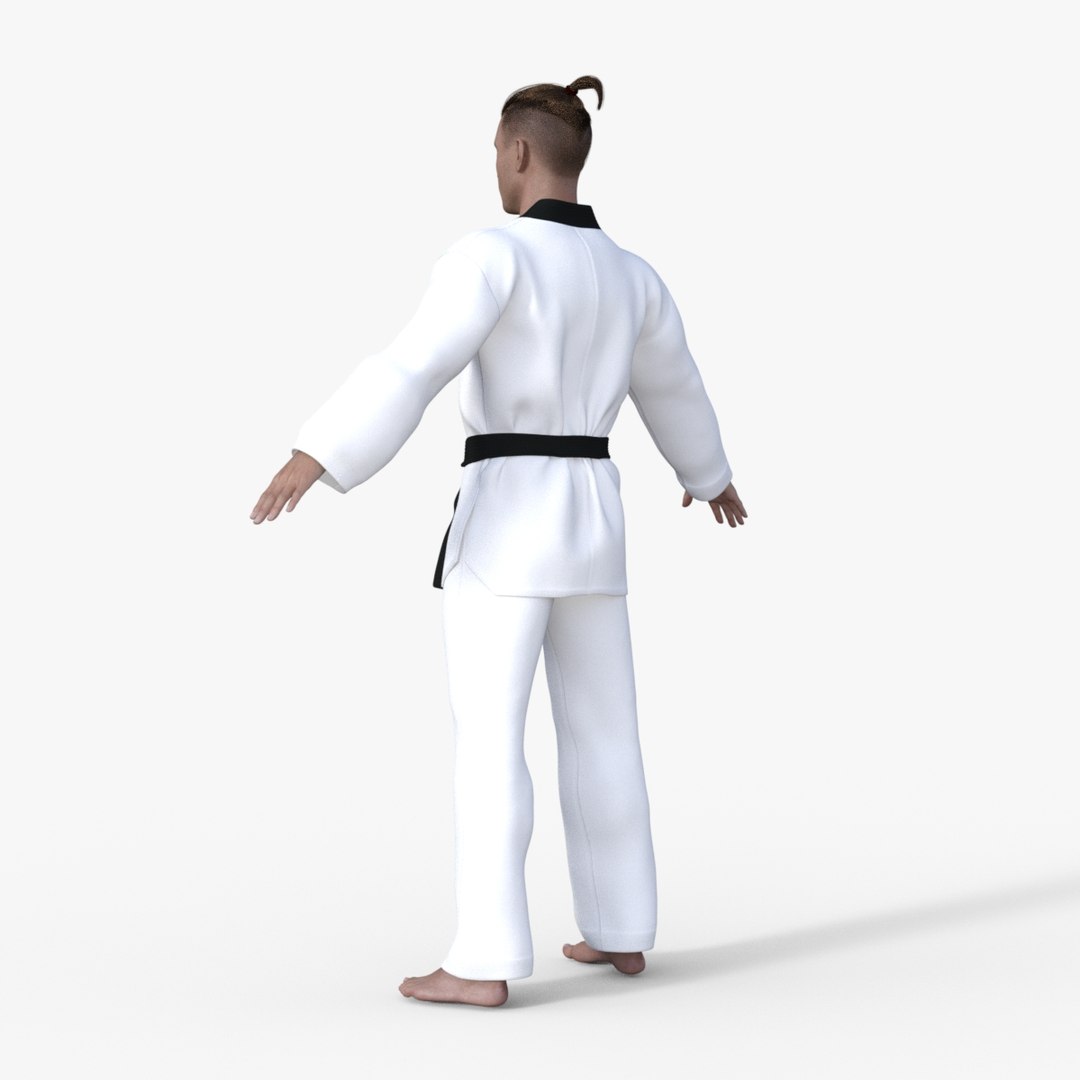 3D Realistic Karate Man Model - TurboSquid 2143361
