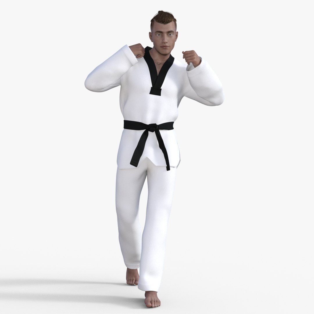 3D Realistic Karate Man model - TurboSquid 2143361