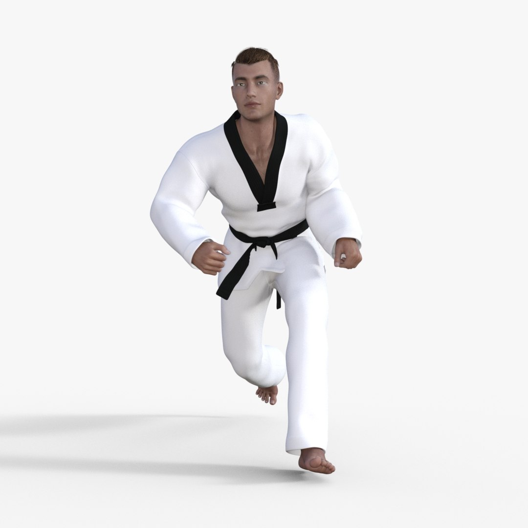 3D Realistic Karate Man model - TurboSquid 2143361