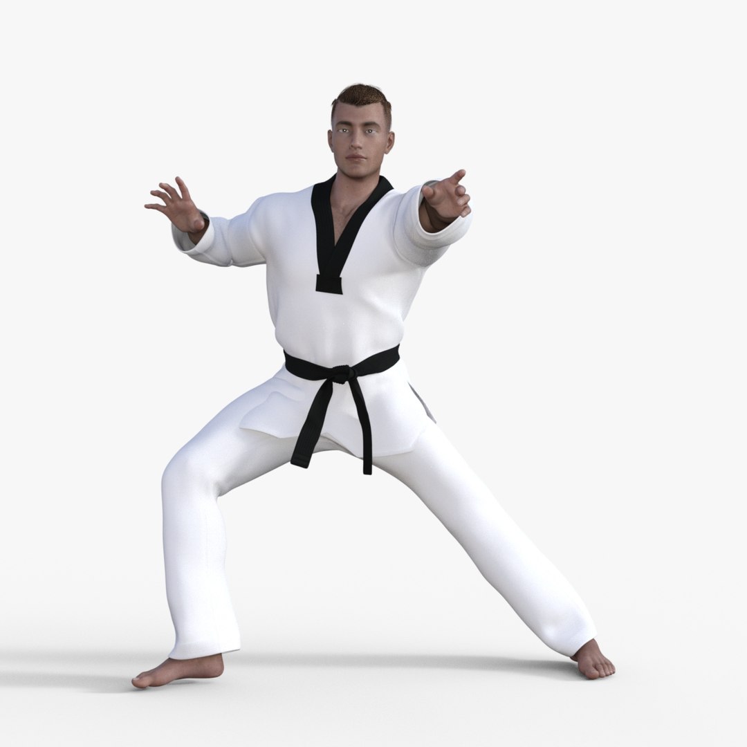 3D Realistic Karate Man model - TurboSquid 2143361