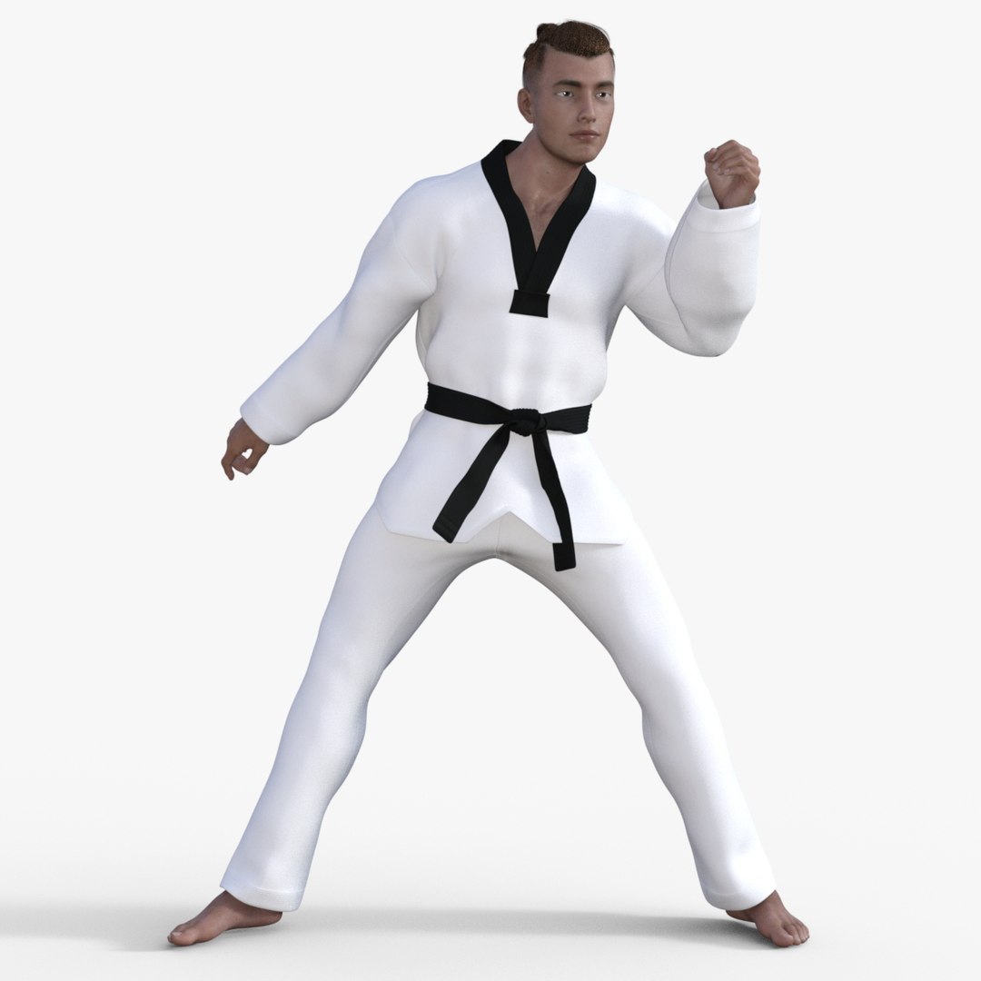 3D Realistic Karate Man model - TurboSquid 2143361