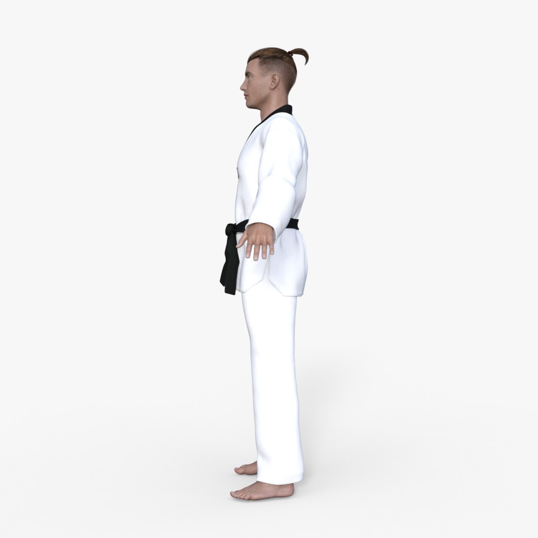 3D Realistic Karate Man model - TurboSquid 2143361