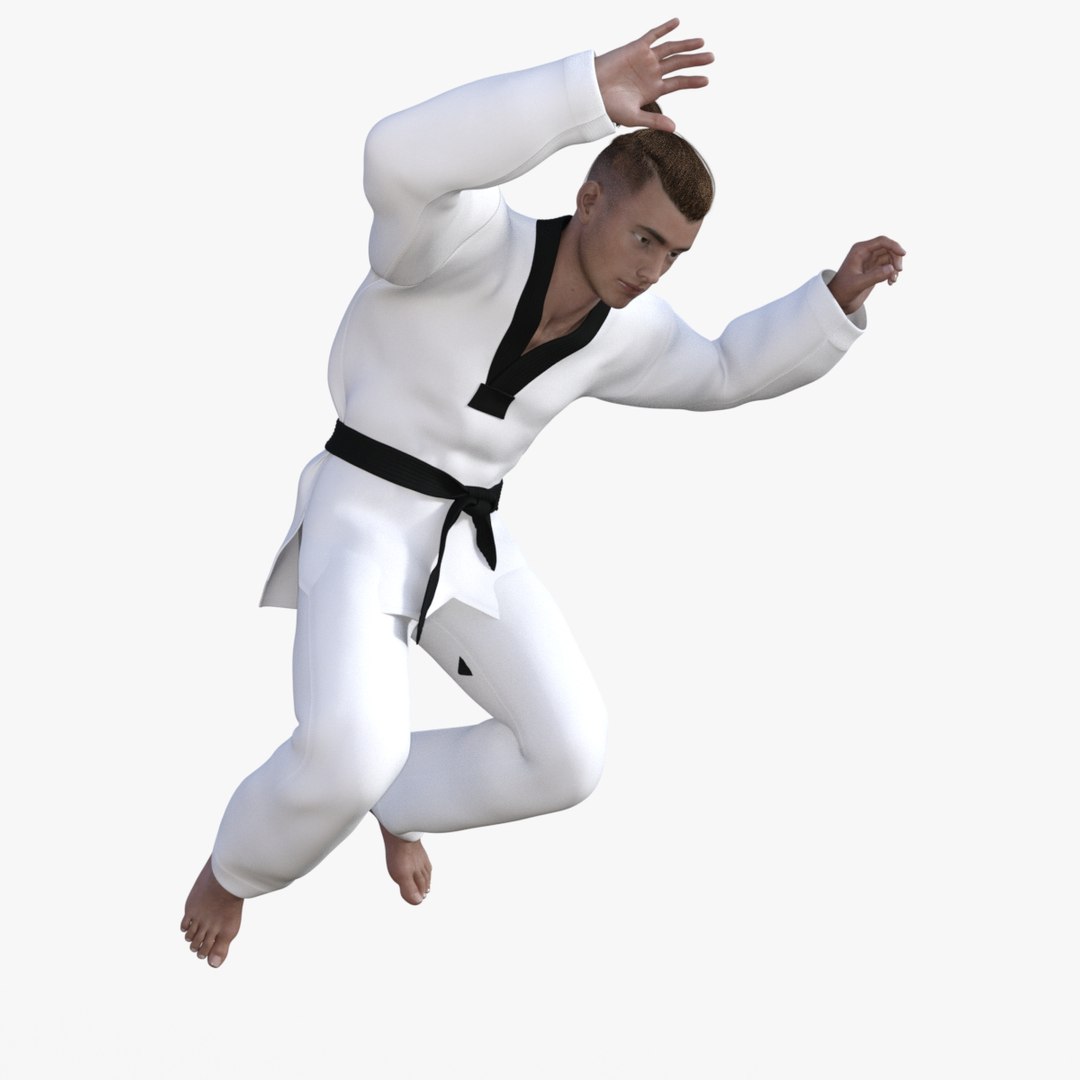 3D Realistic Karate Man model - TurboSquid 2143361