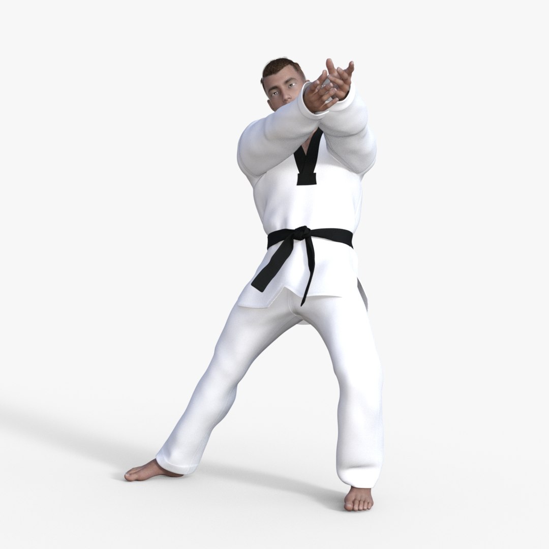 3D Realistic Karate Man model - TurboSquid 2143361