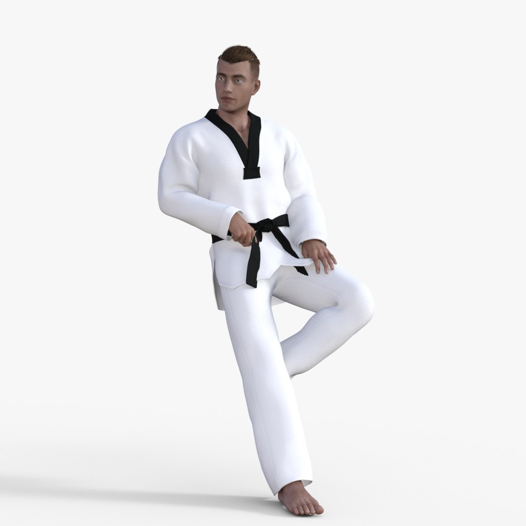 3D Realistic Karate Man model - TurboSquid 2143361