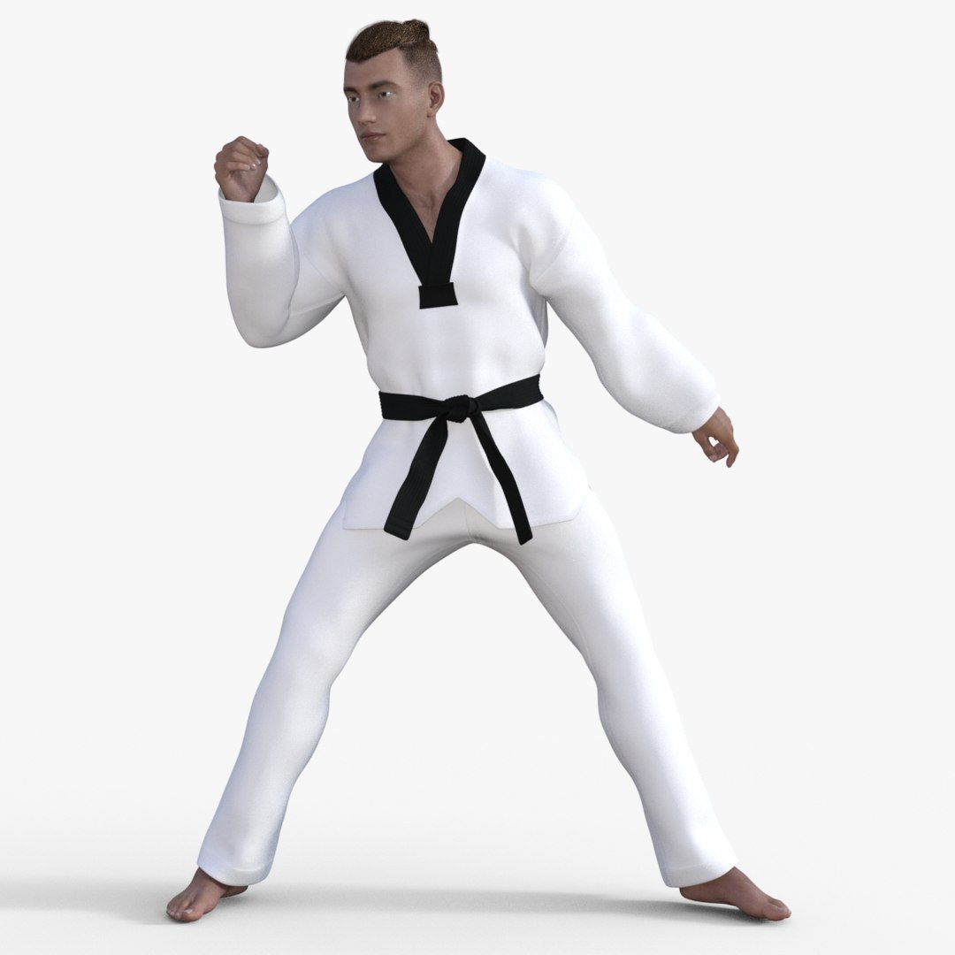 3D Realistic Karate Man model - TurboSquid 2143361