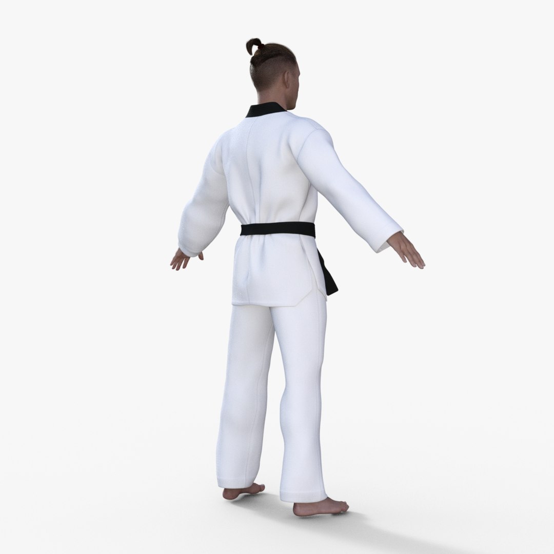 3D Realistic Karate Man Model - TurboSquid 2143361