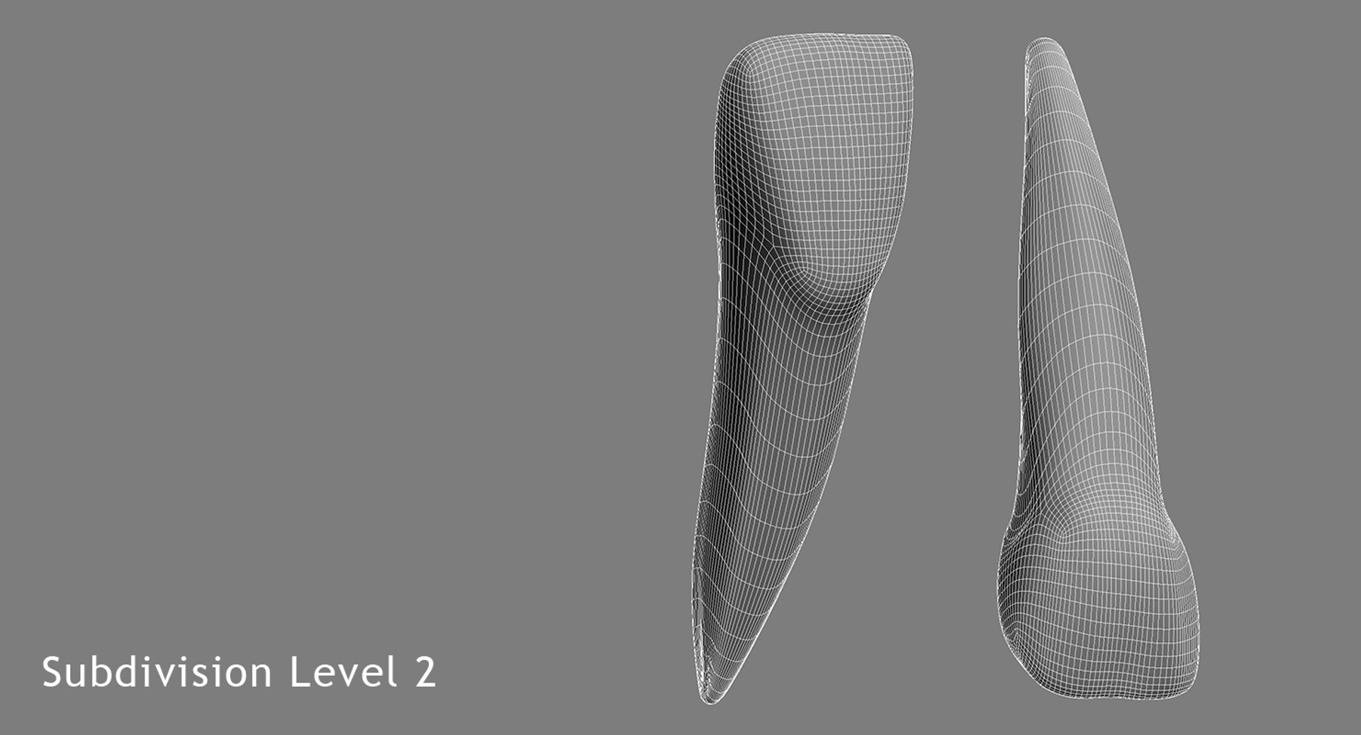 3d Model Primary Lateral Incisors