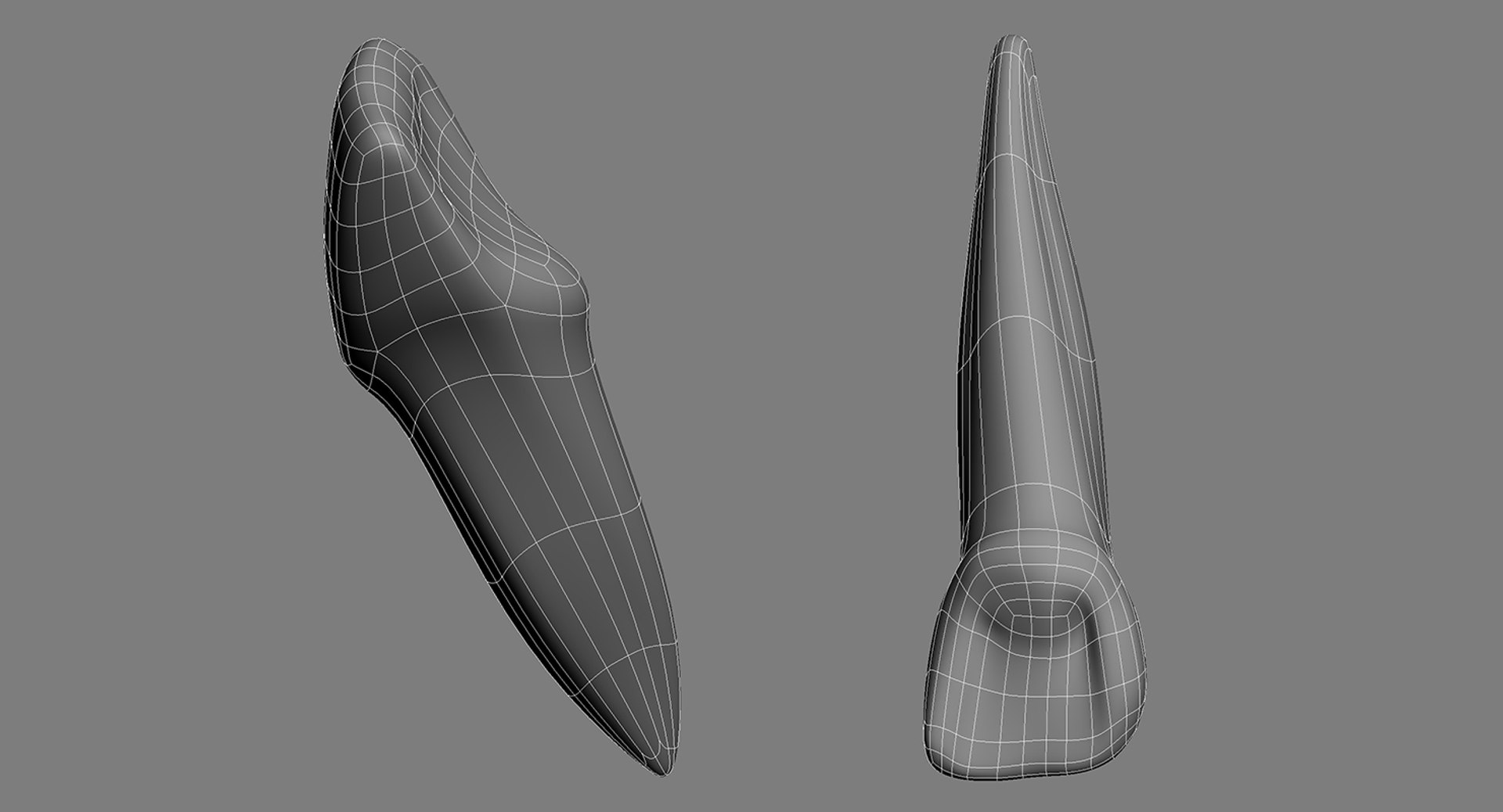 3d Model Primary Lateral Incisors