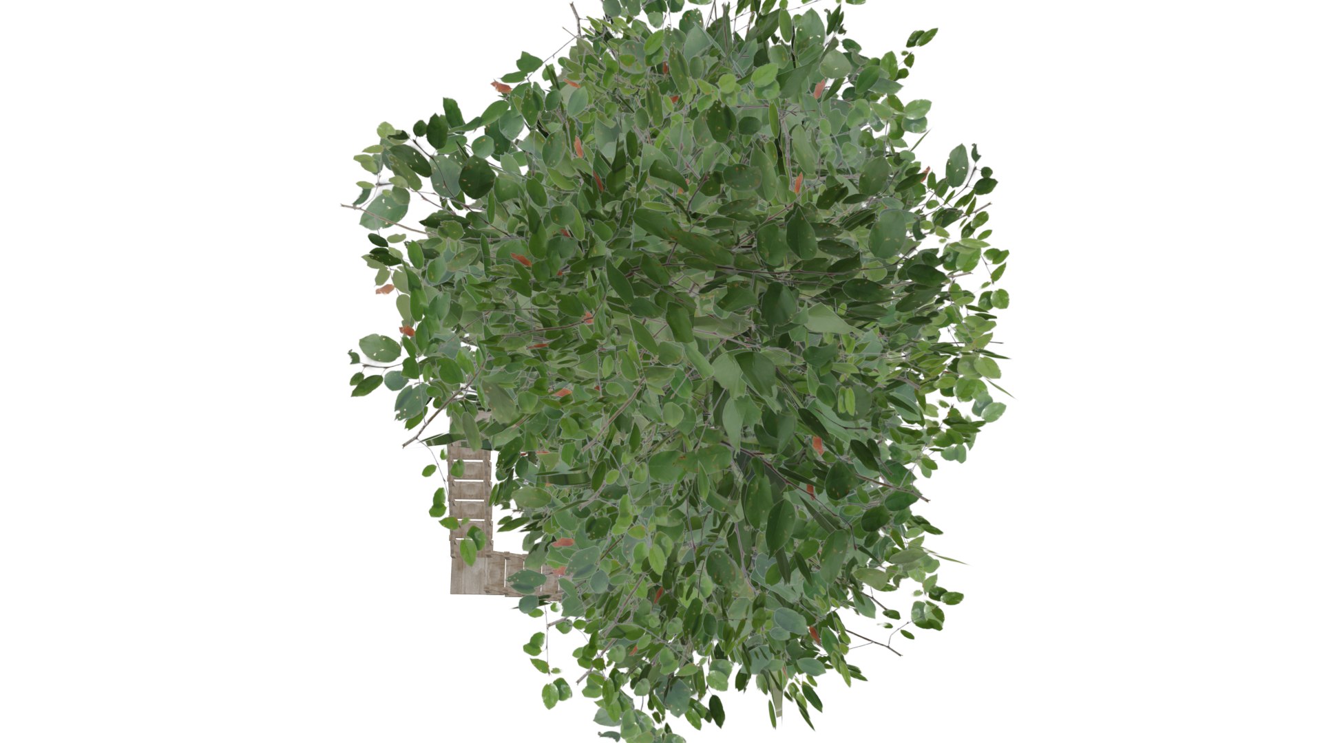 3D Tree House Lowpoly Model - TurboSquid 2064951