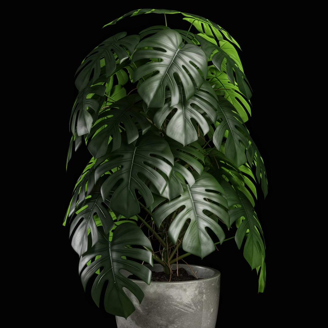 Fstorm 3D Model - TurboSquid 1389627