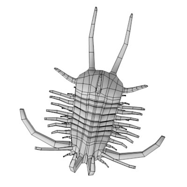 trilobite tri 3d model