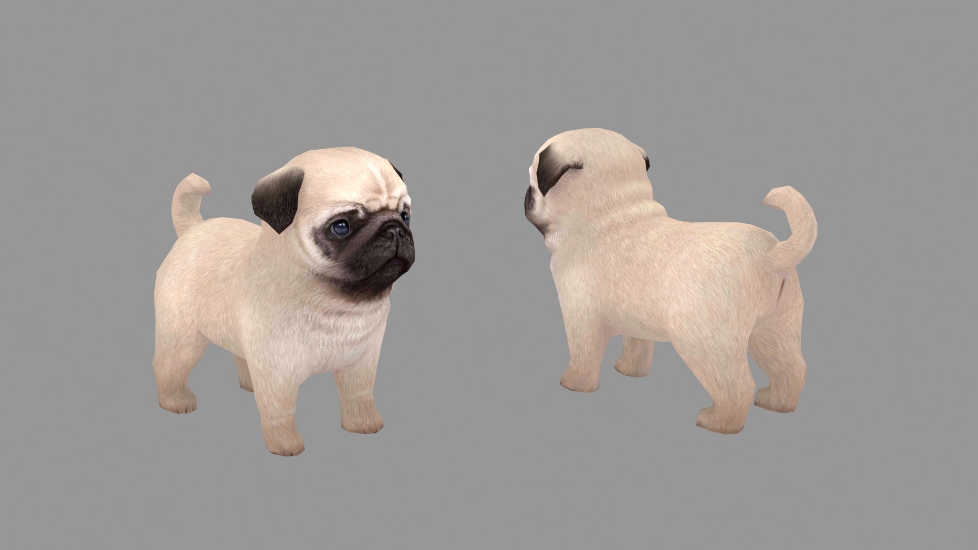 Cartoon Pet Puppy - Paco - Baby Dog 3D - TurboSquid 1717796