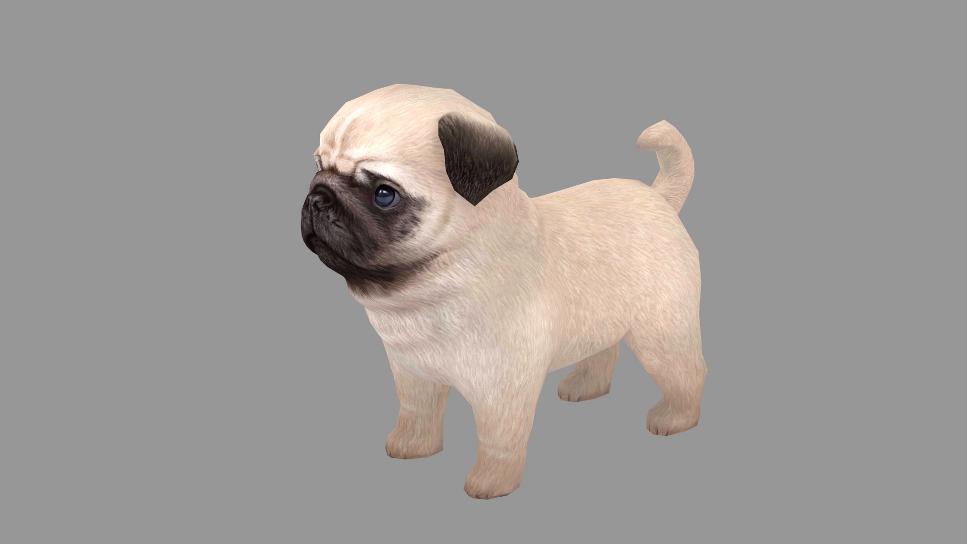 Cartoon Pet Puppy - Paco - Baby Dog 3D - TurboSquid 1717796