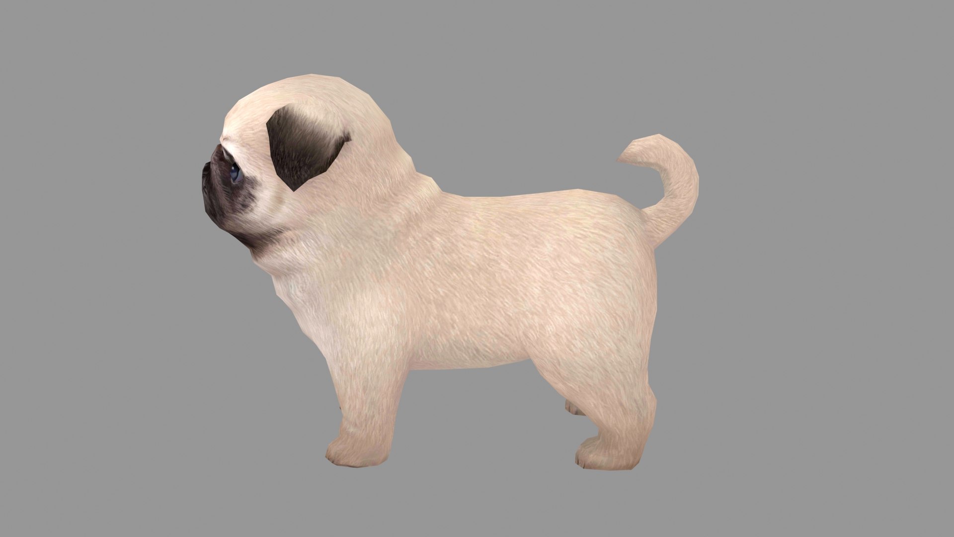 Cartoon Pet Puppy - Paco - Baby Dog 3D - TurboSquid 1717796