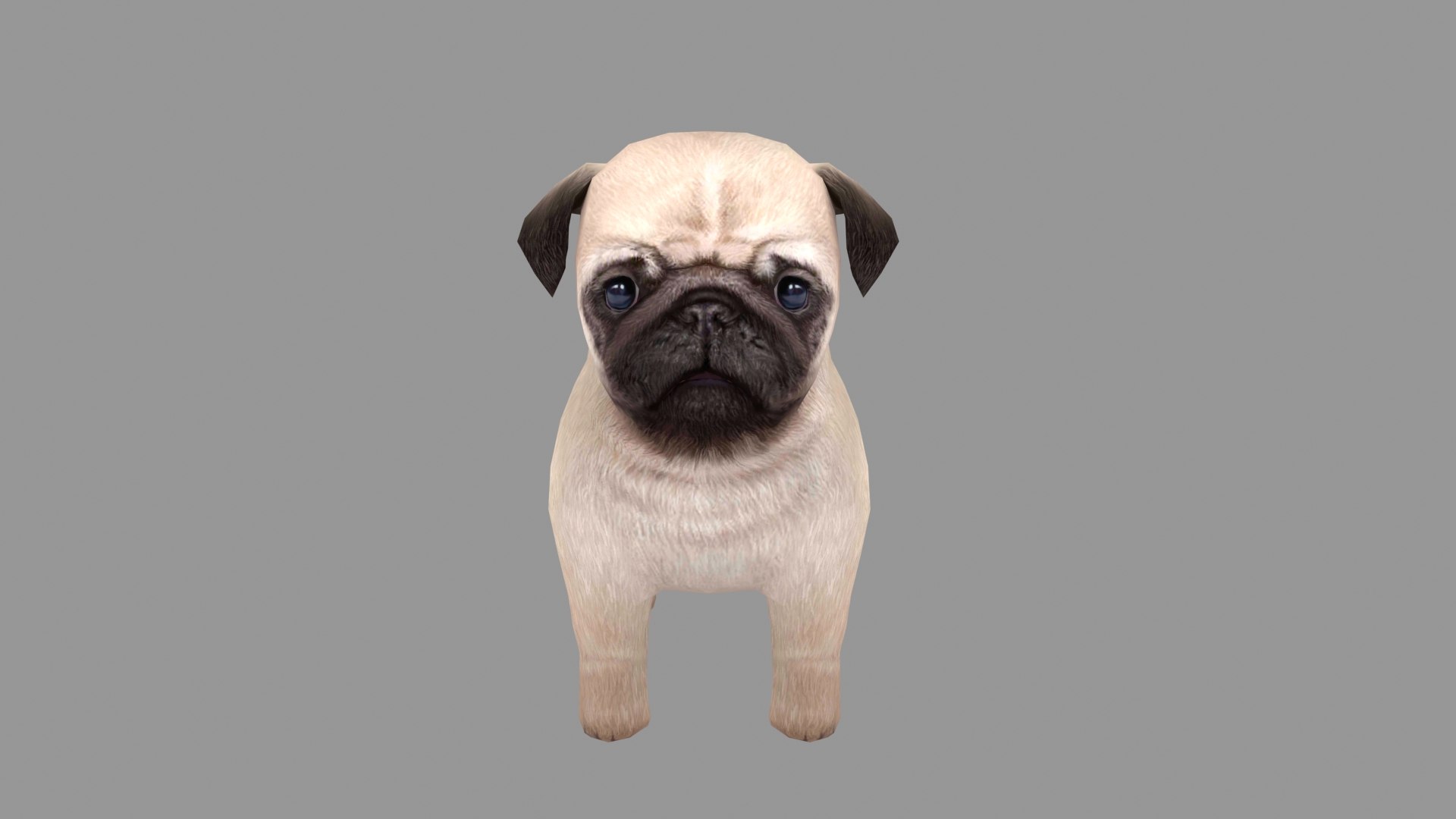 Cartoon Pet Puppy - Paco - Baby Dog 3D - TurboSquid 1717796